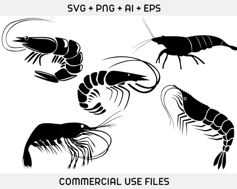Shrimp SVG Bundle, Shrimp Svg, Shrimp Png, Shrimp Eps, Shrimp Vector ...