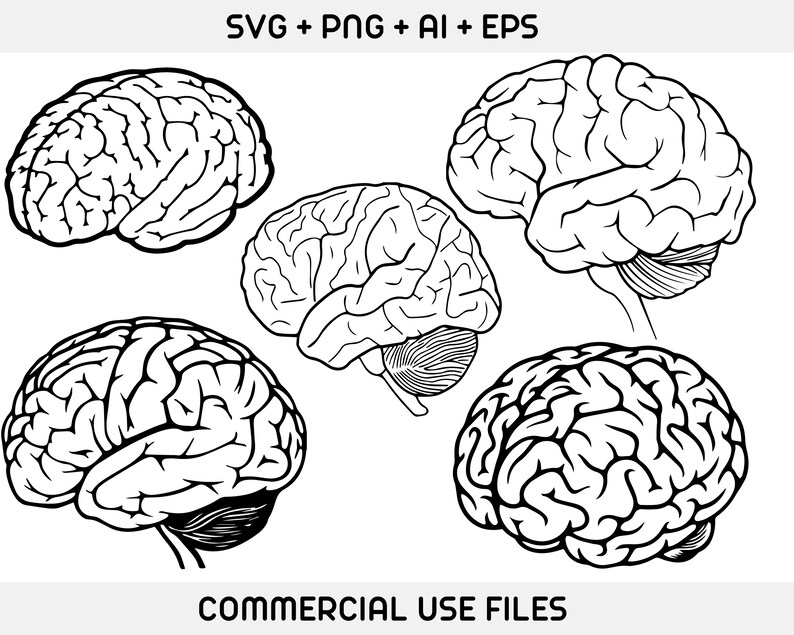 Brain SVG Bundle Brain Svgbrain PNG Brain Clipart Brain - Etsy