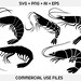 Shrimp SVG Bundle, Shrimp Svg, Shrimp Png, Shrimp Eps, Shrimp Vector ...