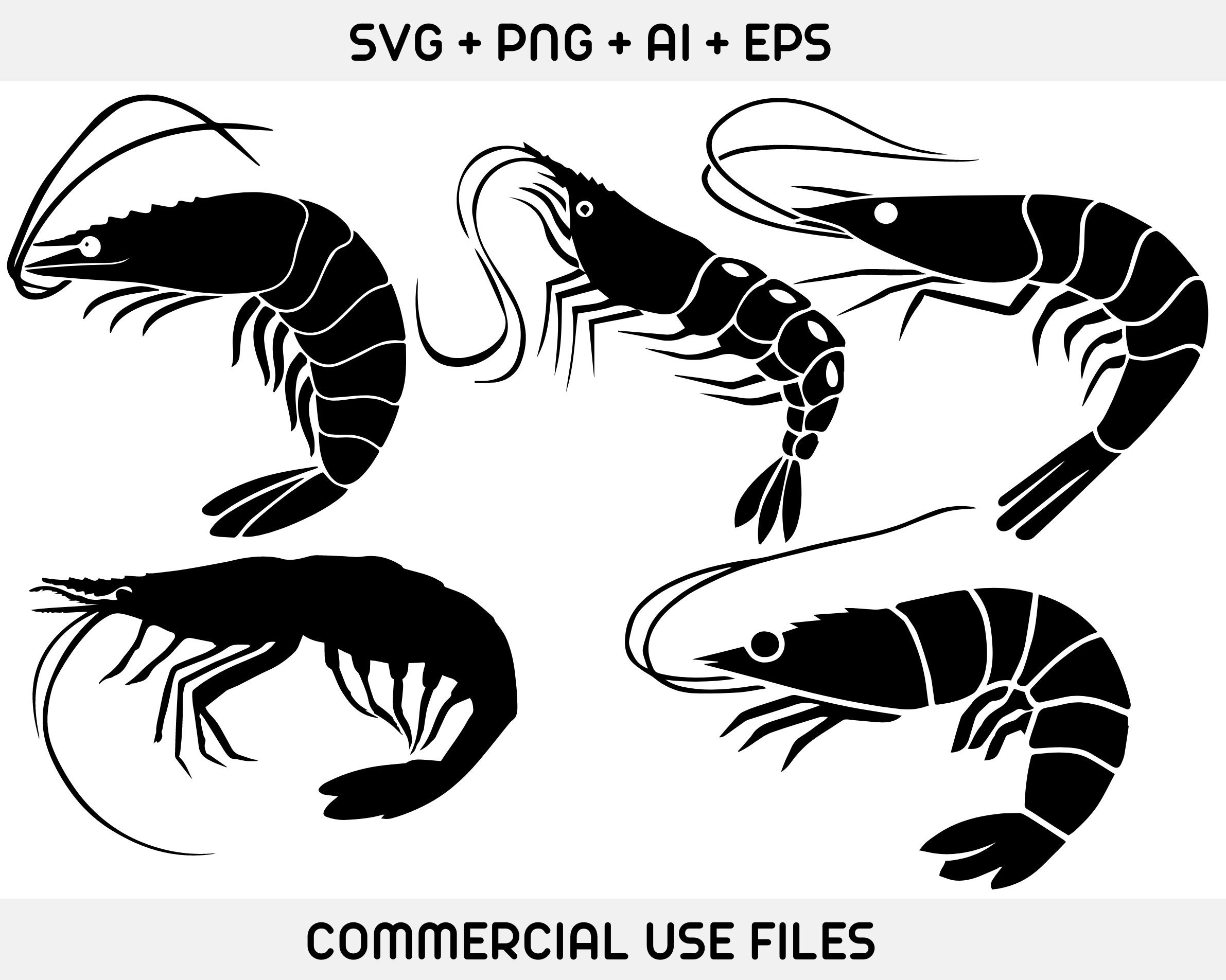 Shrimp SVG Bundle Shrimp Svg Shrimp Png Shrimp Eps Shrimp - Etsy Canada