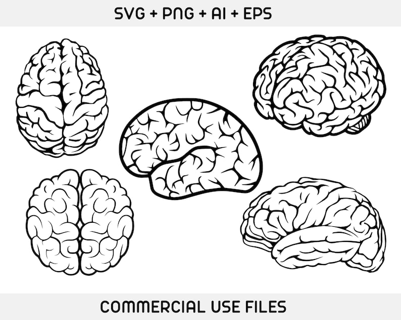 Brain SVG Bundle Brain Svgbrain PNG Brain Clipart Brain - Etsy