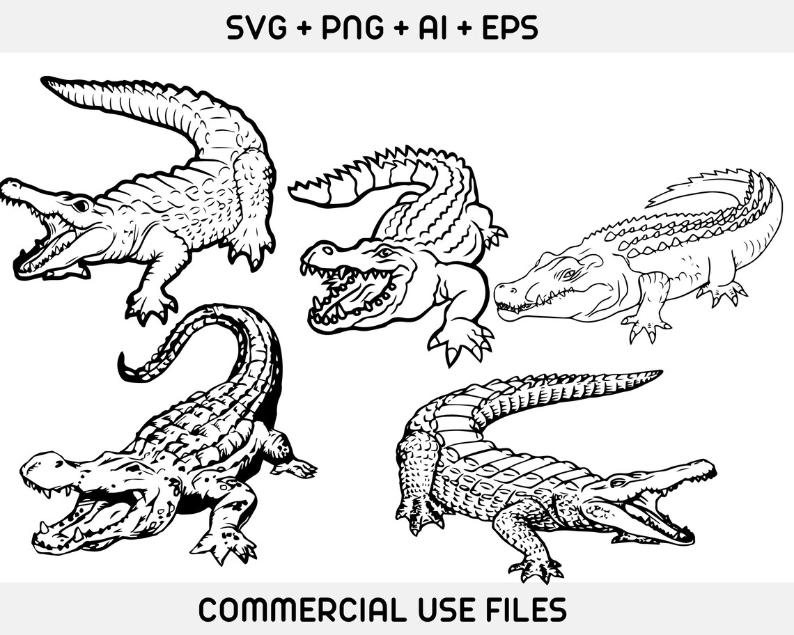 Alligator SVG Alligator Head SVG alligator Clip Art Svg - Etsy