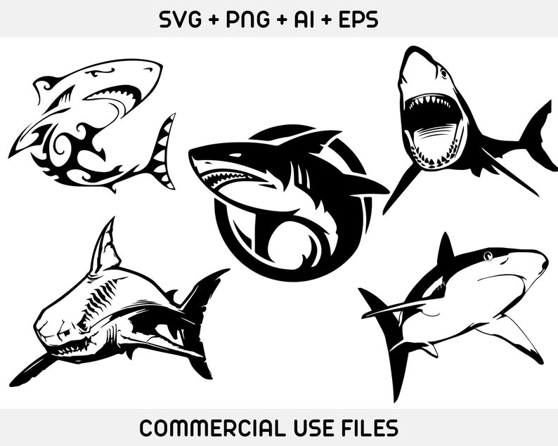 Shark Svg Bundle Shark Fish Svg Shark Design Svg Animal - Etsy