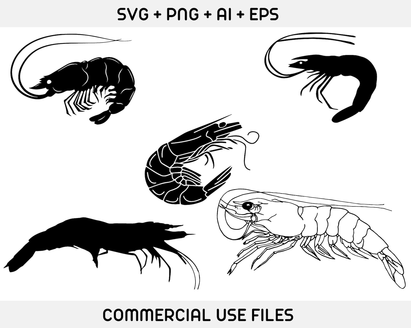 Shrimp SVG Bundle, Shrimp Svg, Shrimp Png, Shrimp Eps, Shrimp Vector ...