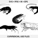 Shrimp SVG Bundle, Shrimp Svg, Shrimp Png, Shrimp Eps, Shrimp Vector ...