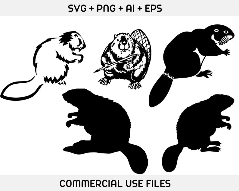 Beaver SVG Animal Svg Beaver Clipart Beaver Cut Files - Etsy