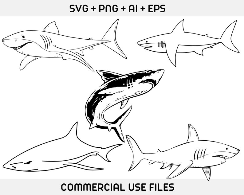 Shark Svg Bundle Shark Fish Svg Shark Design Svg Animal - Etsy