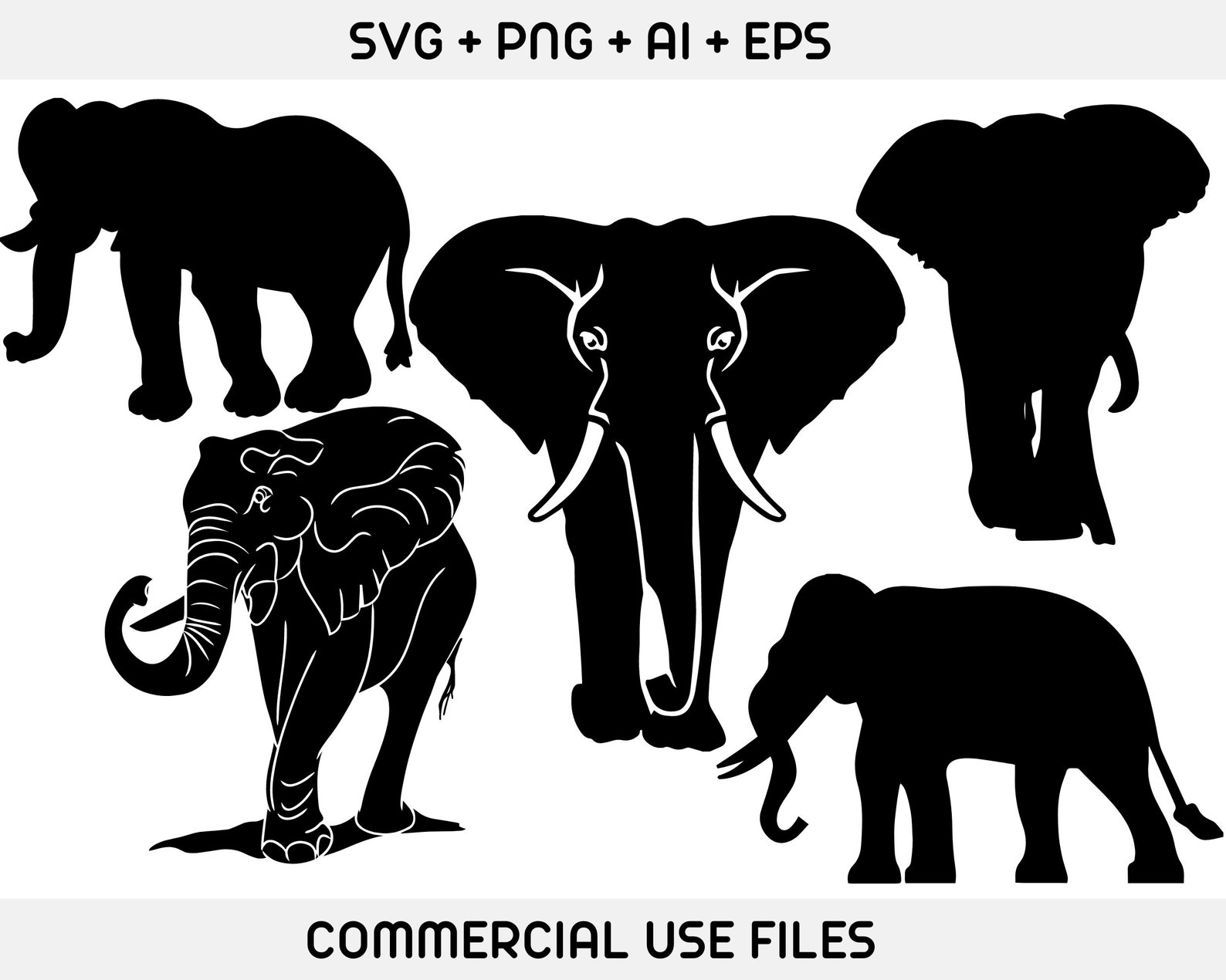 Elephant Svg Elephants Svg Wild Life Svg Africa Animals - Etsy