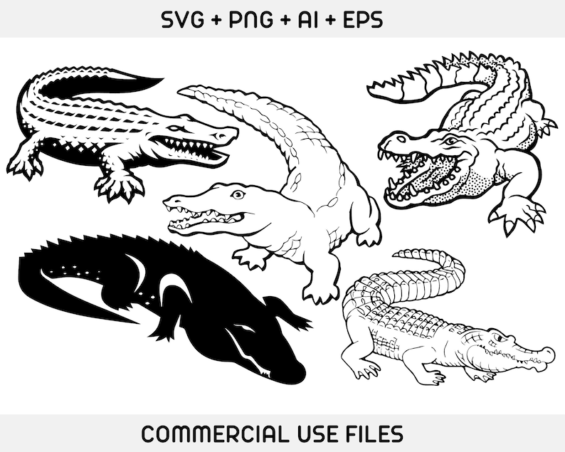 Alligator SVG Alligator Head SVG alligator Clip Art Svg - Etsy