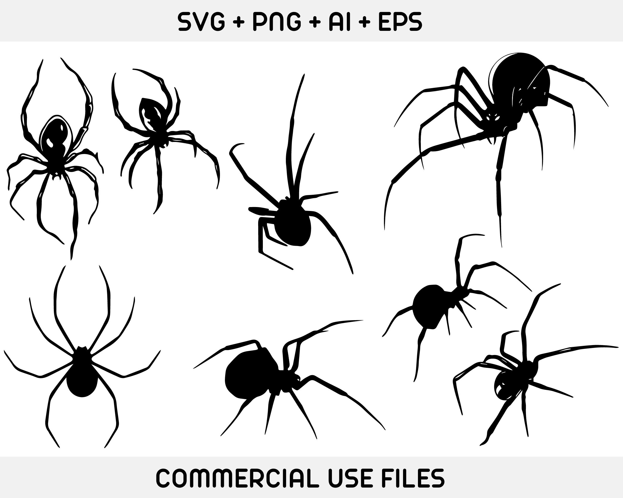 Spider Svg Spider Web Svg Insect Svg Cobweb Svg - Etsy