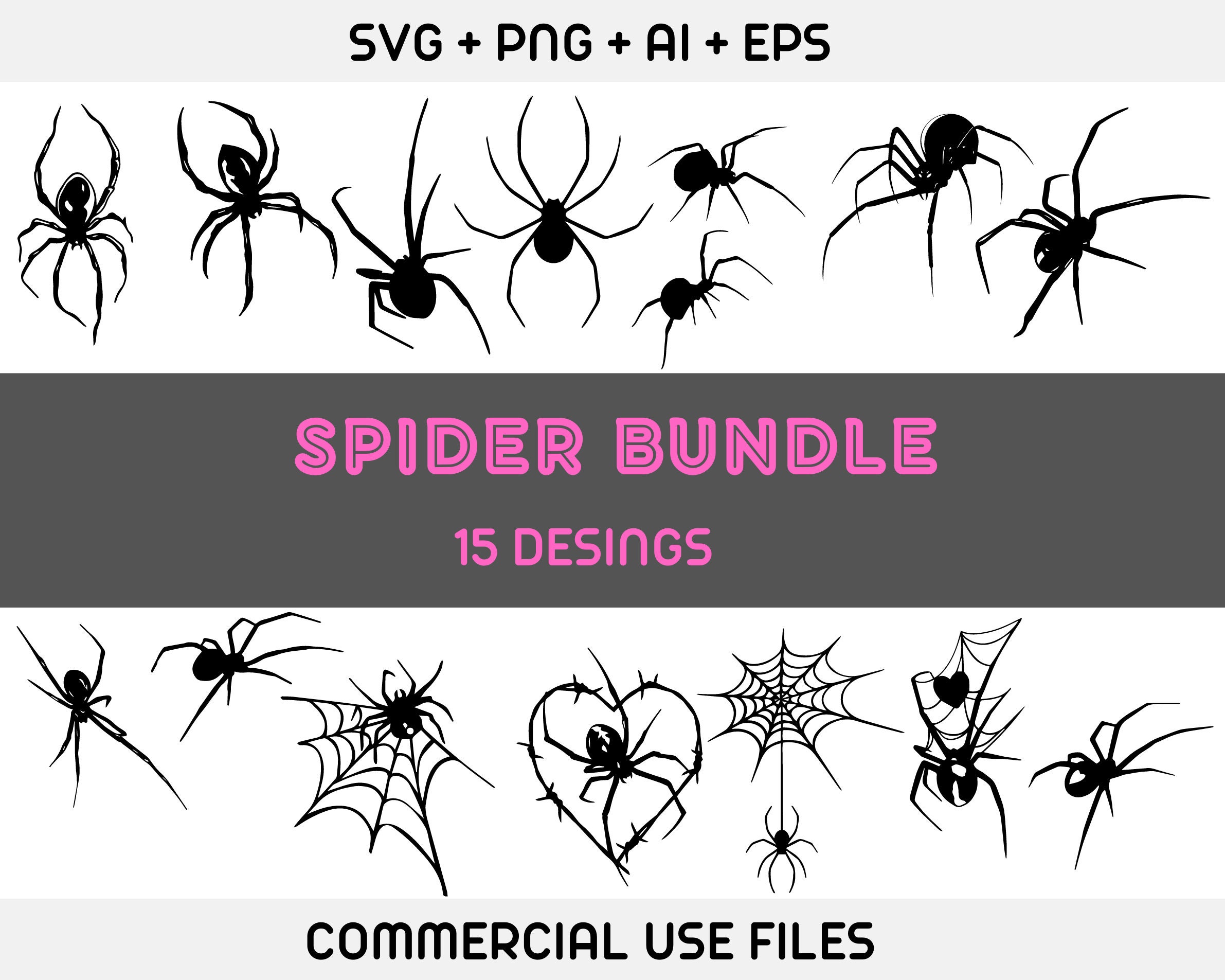 Spider Svg Spider Web Svg Insect Svg Cobweb Svg - Etsy