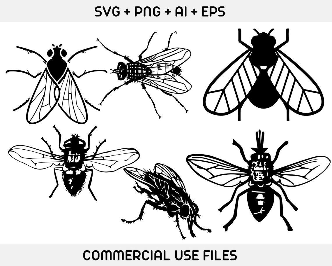 Insect SVG Insect Bundle SVG Fly Vector Fly Bundle SVG - Etsy