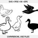 Duck SVG Animal Svgduck Silhouettesvg Cut Filesduck Bundle - Etsy