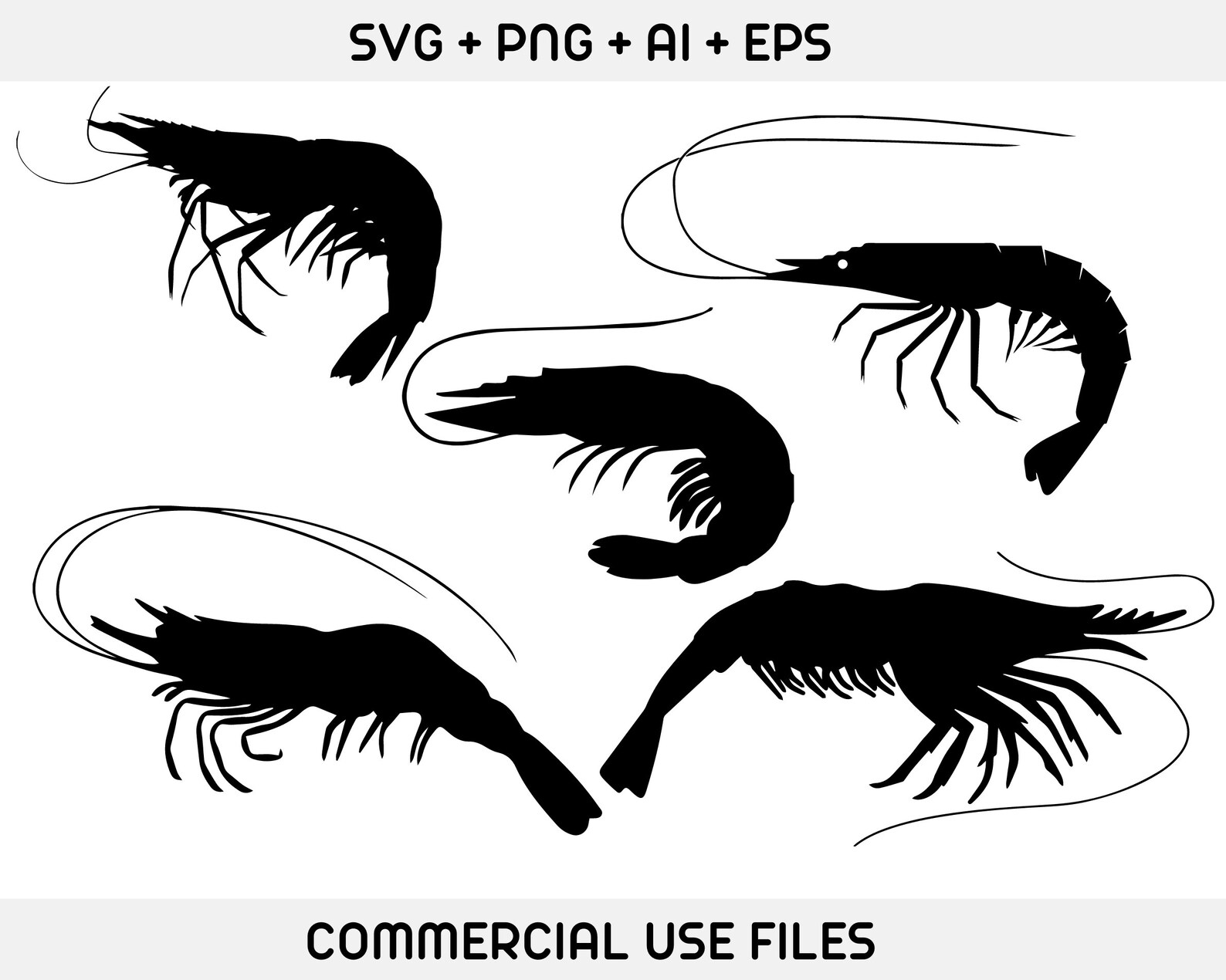 Shrimp SVG Bundle, Shrimp Svg, Shrimp Png, Shrimp Eps, Shrimp Vector ...