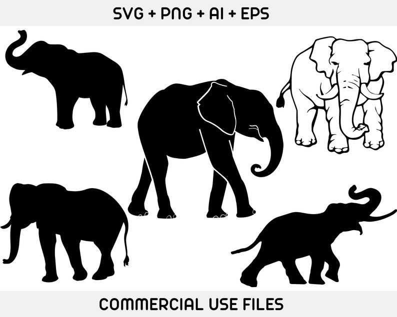 Elephant Svg Elephants Svg Wild Life Svg Africa Animals - Etsy