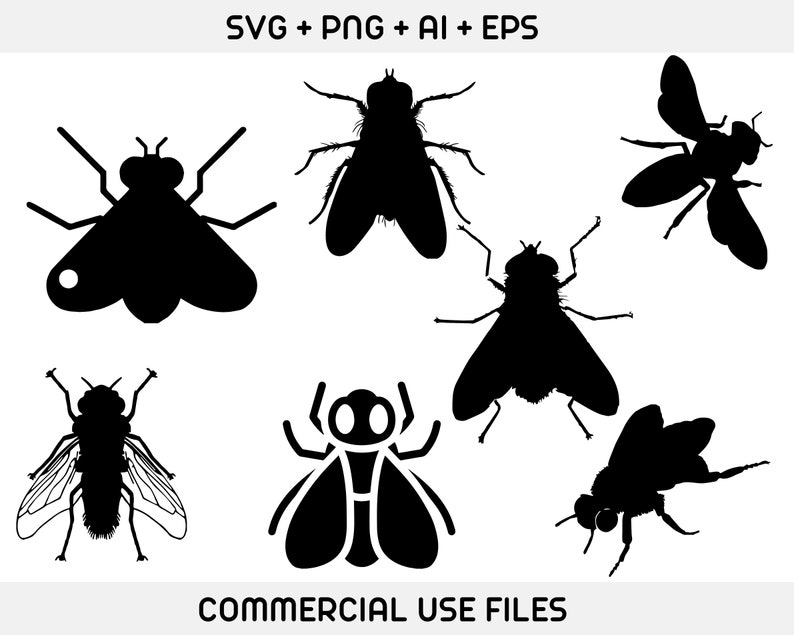 Insect SVG Insect Bundle SVG Fly Vector Fly Bundle SVG - Etsy