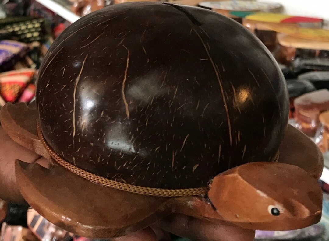 Turtle Style Money Saver Money Box Children Money Box Baby - Etsy