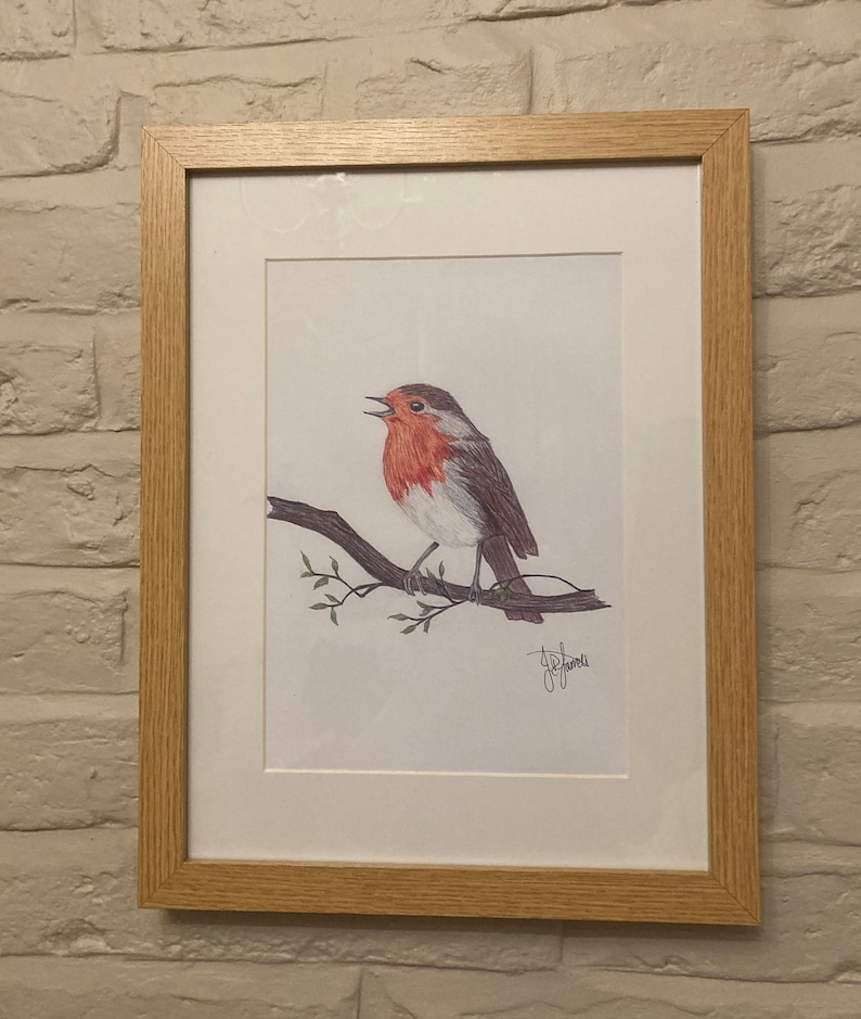 Singing Robin Coloured Water Pencil Drawing A4 Print - Etsy