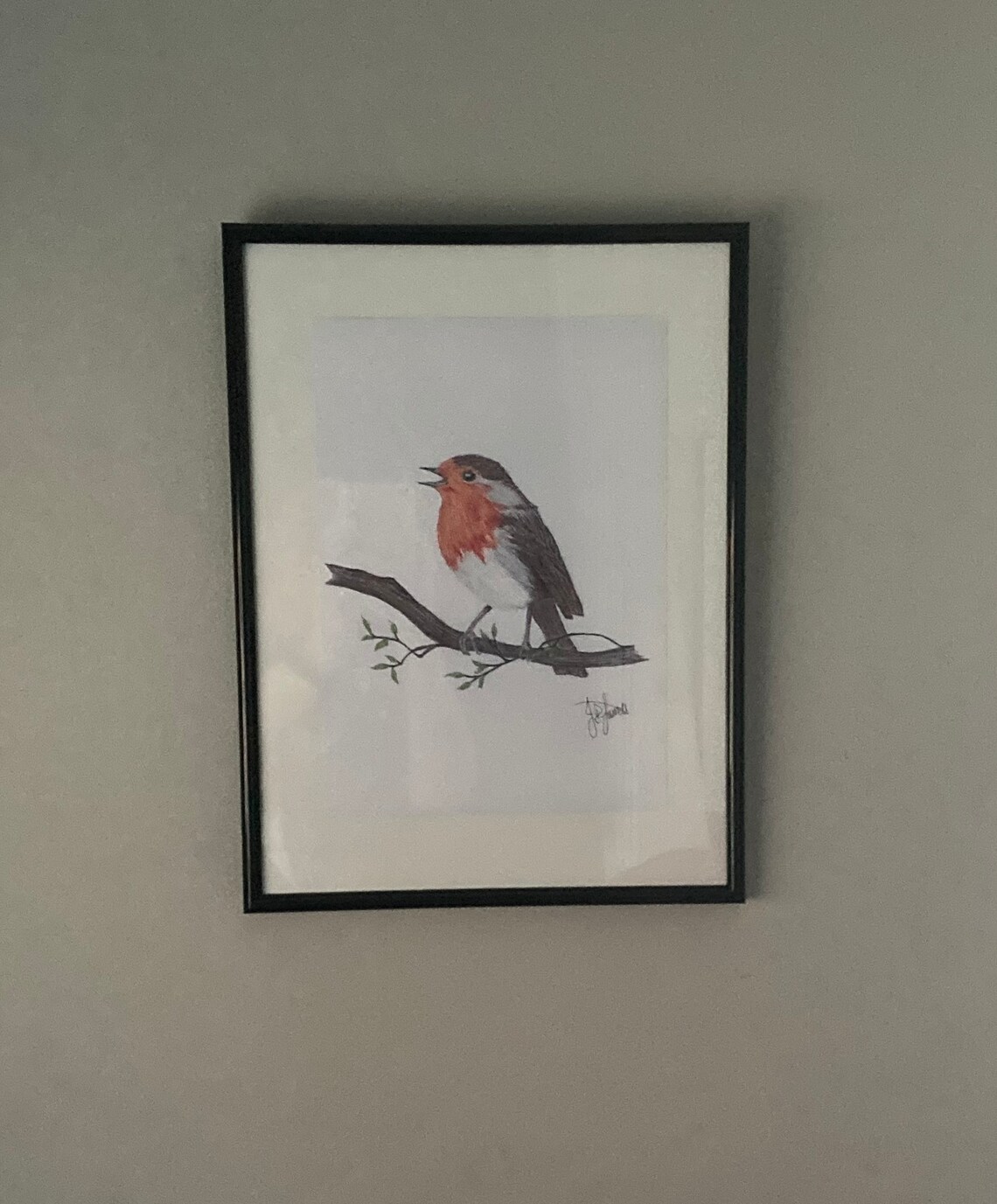 Singing Robin Coloured Water Pencil Drawing A4 Print - Etsy
