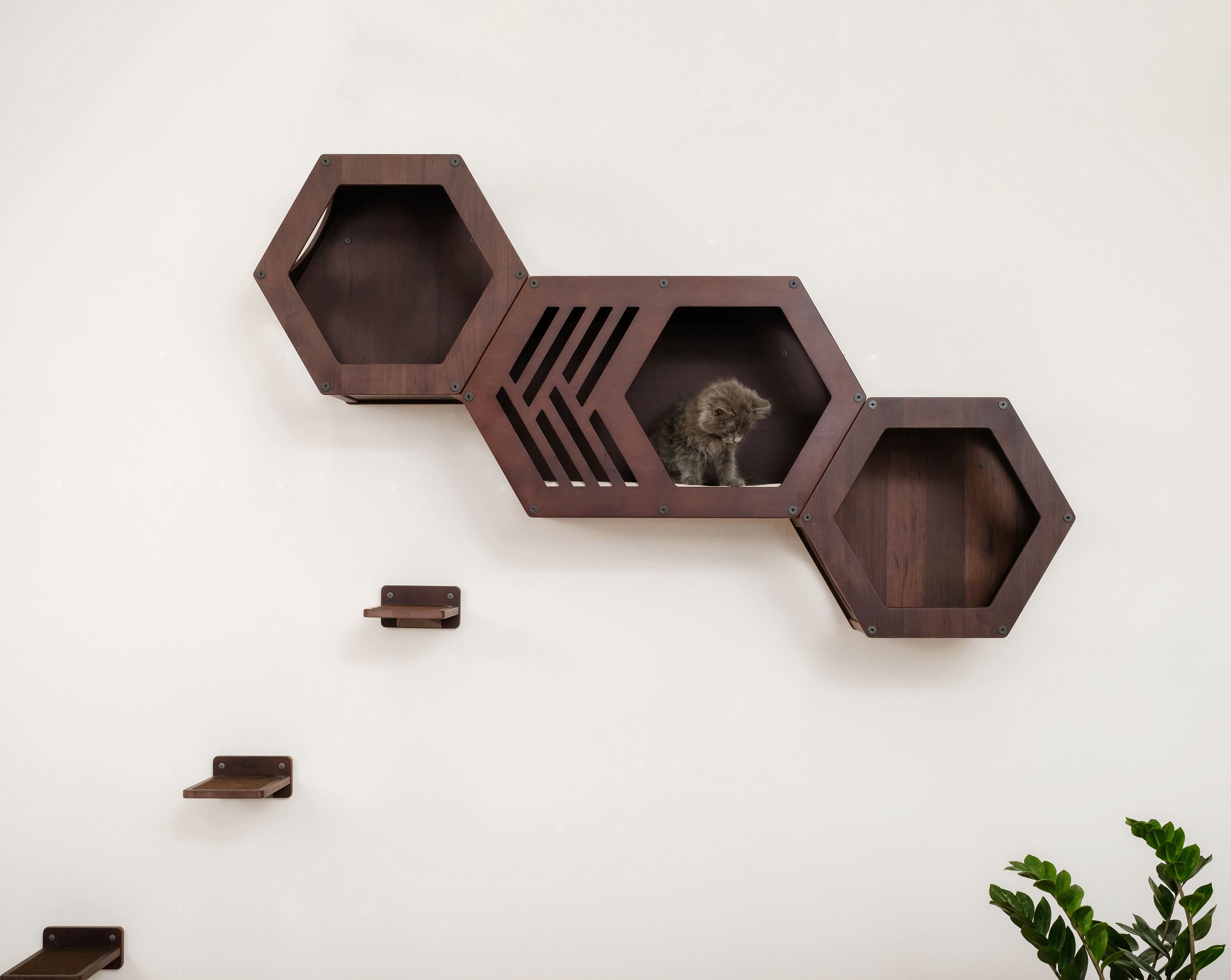 Hexagon Cat House for Wall, Cat Wall Furniture, Modern Cat Shelf, Large ...