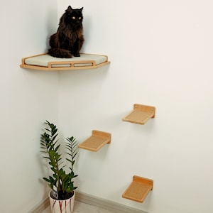 Corner Cat Shelf With Pillow From Solid Wood, Corner Cat Bed and Steps ...