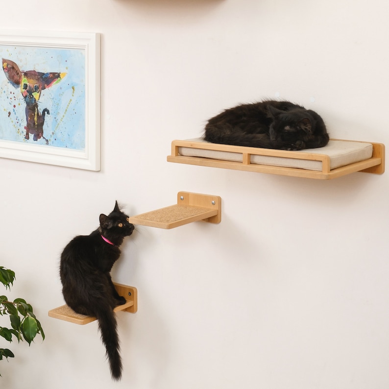 Cat Bed and Steps, Cat Shelf, Сat Platform, Cat Wall Shelf, Cat Wall ...