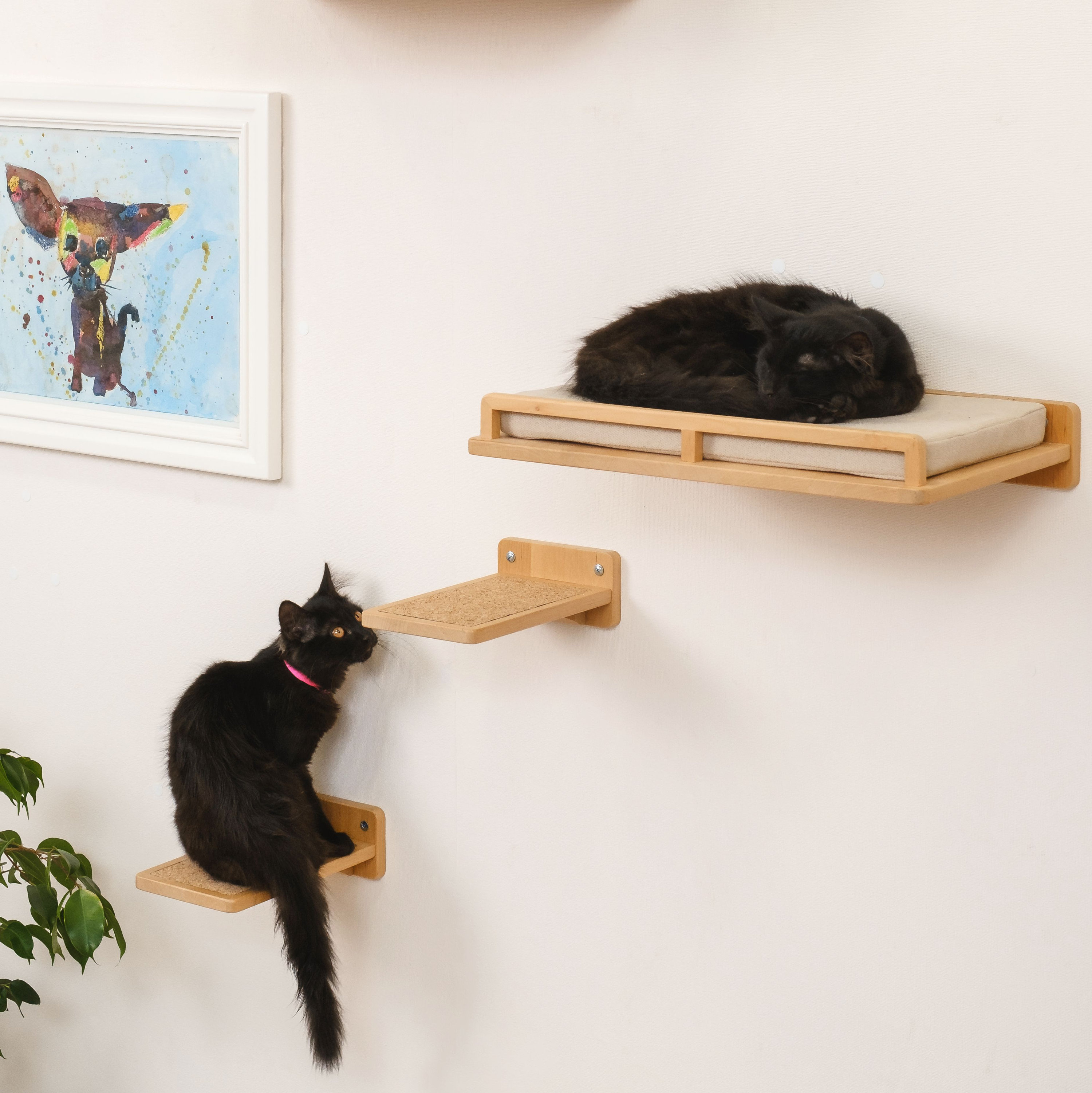 Set Cat Shelves, Cat Wall Shelf With Pillow, Cat Wall Furniture, Cat ...
