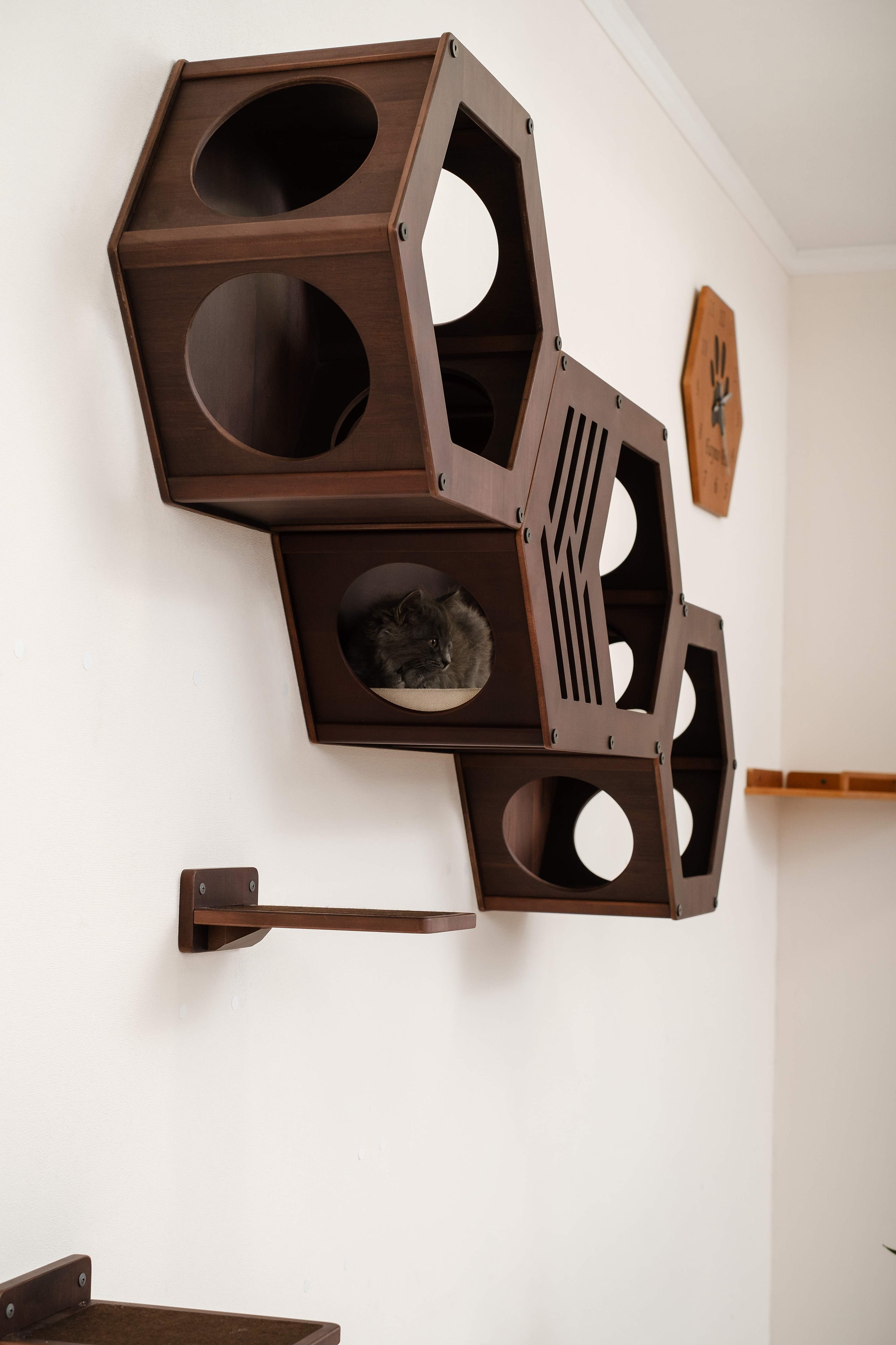 Cat House for Wall Cat Wall Furniture Modern Cat Furniture - Etsy