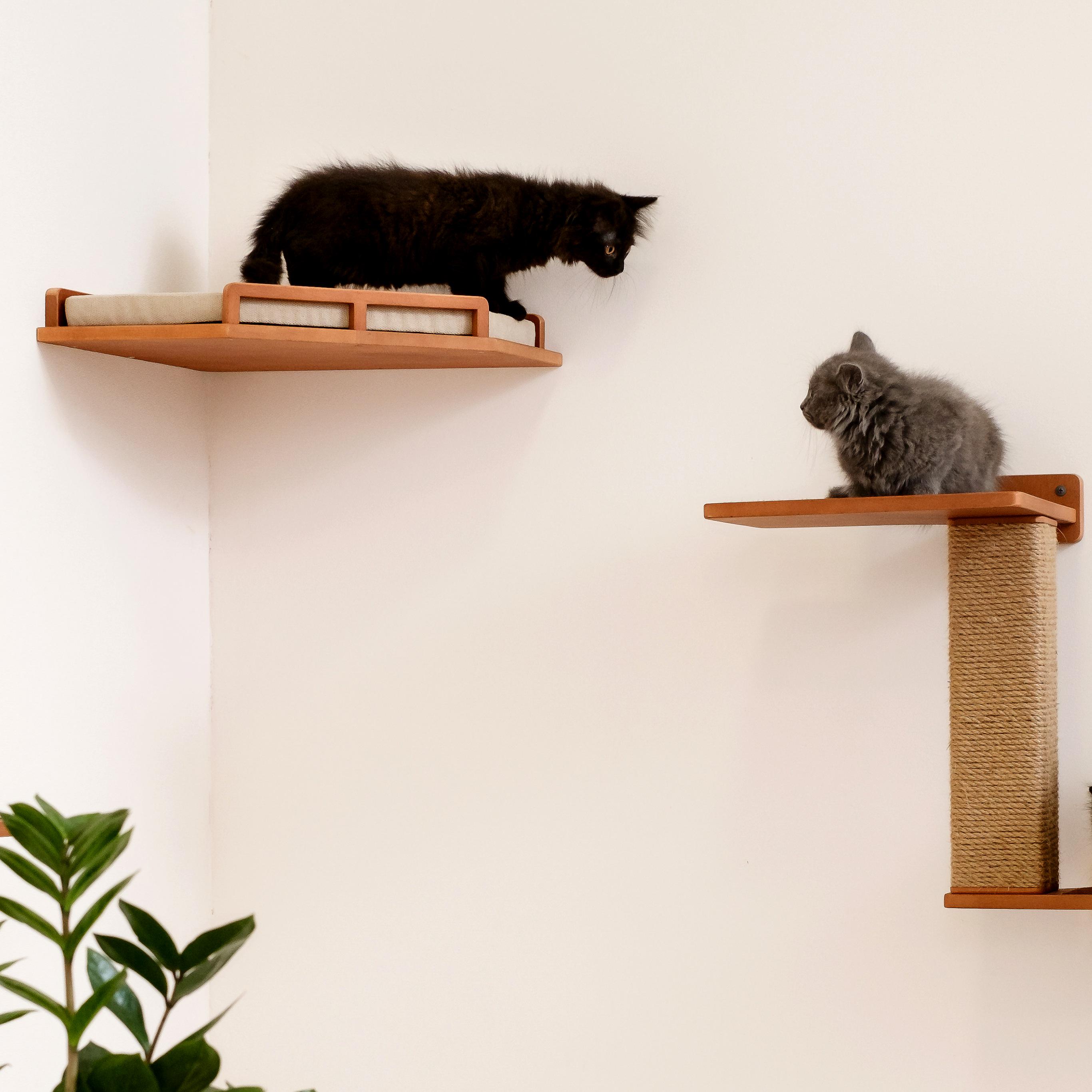 Set of Two Corner Cat Shelves With Pillows, Cat Shelves for Wall, Сat ...