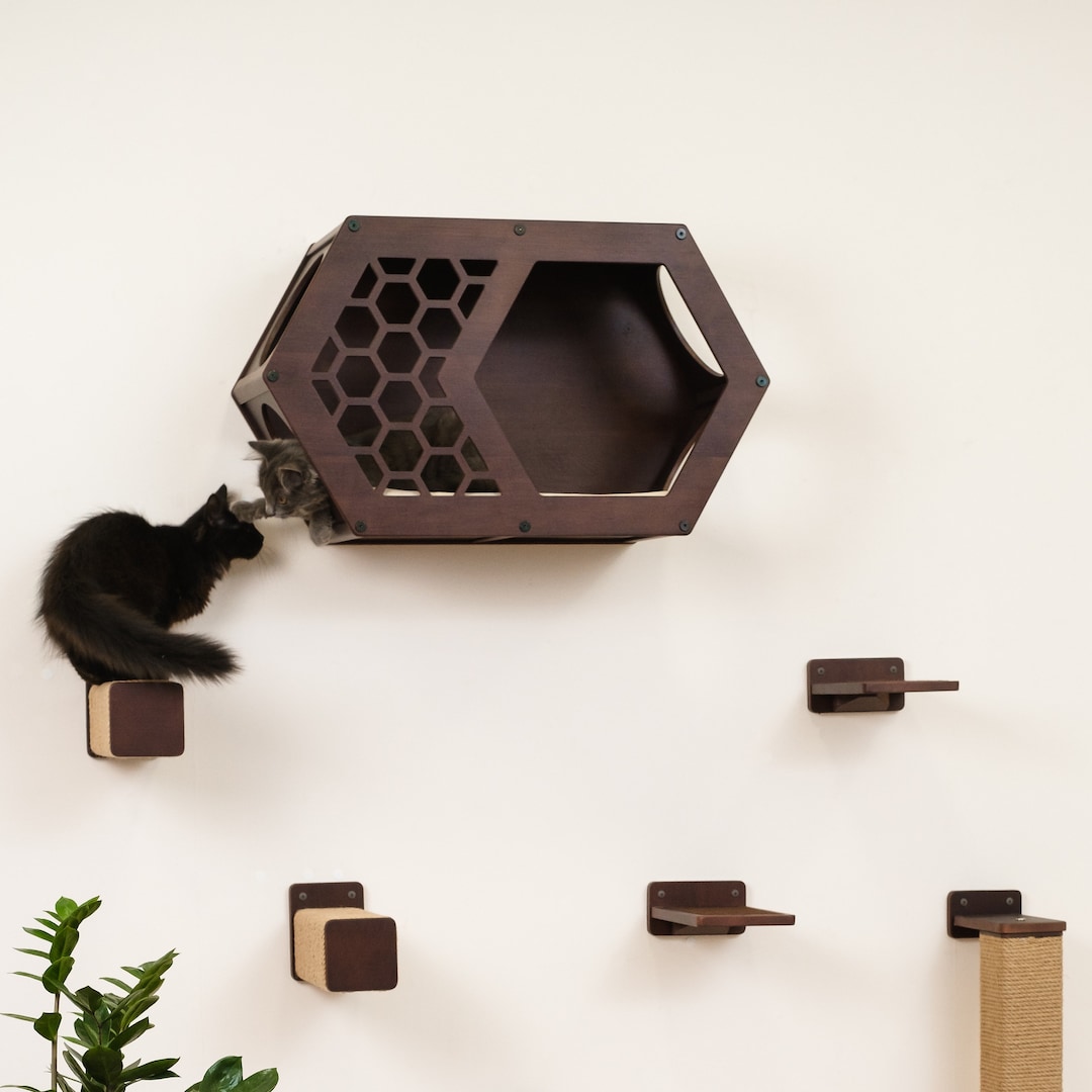 Hexagon Cat Shelf Set for Big Cats, Cat Wall Furniture, Hexagon Cat Bed ...