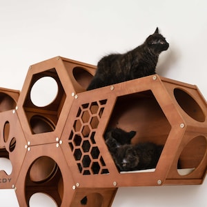 Hexagon Cat House for Wall, Cat Wall Furniture, Modern Cat Shelf, Large ...