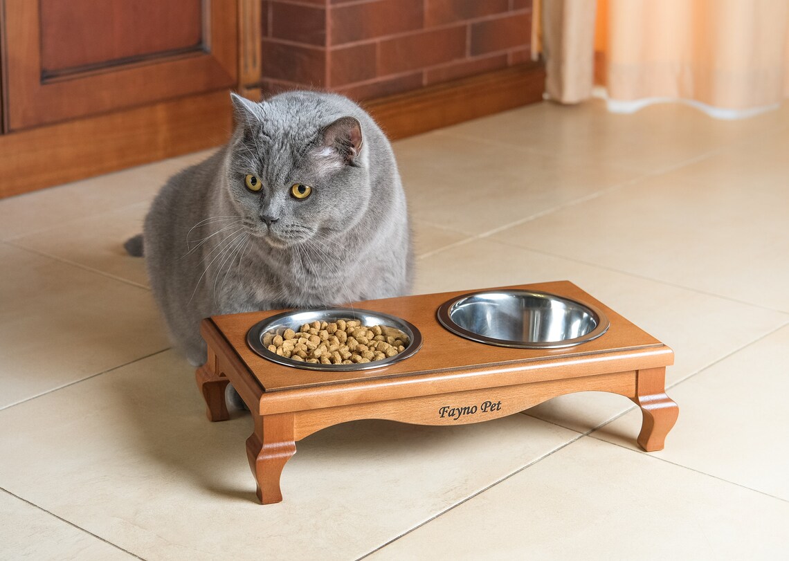 Raised Wooden Feeder for Large Cats With Two Bowls. Premium | Etsy