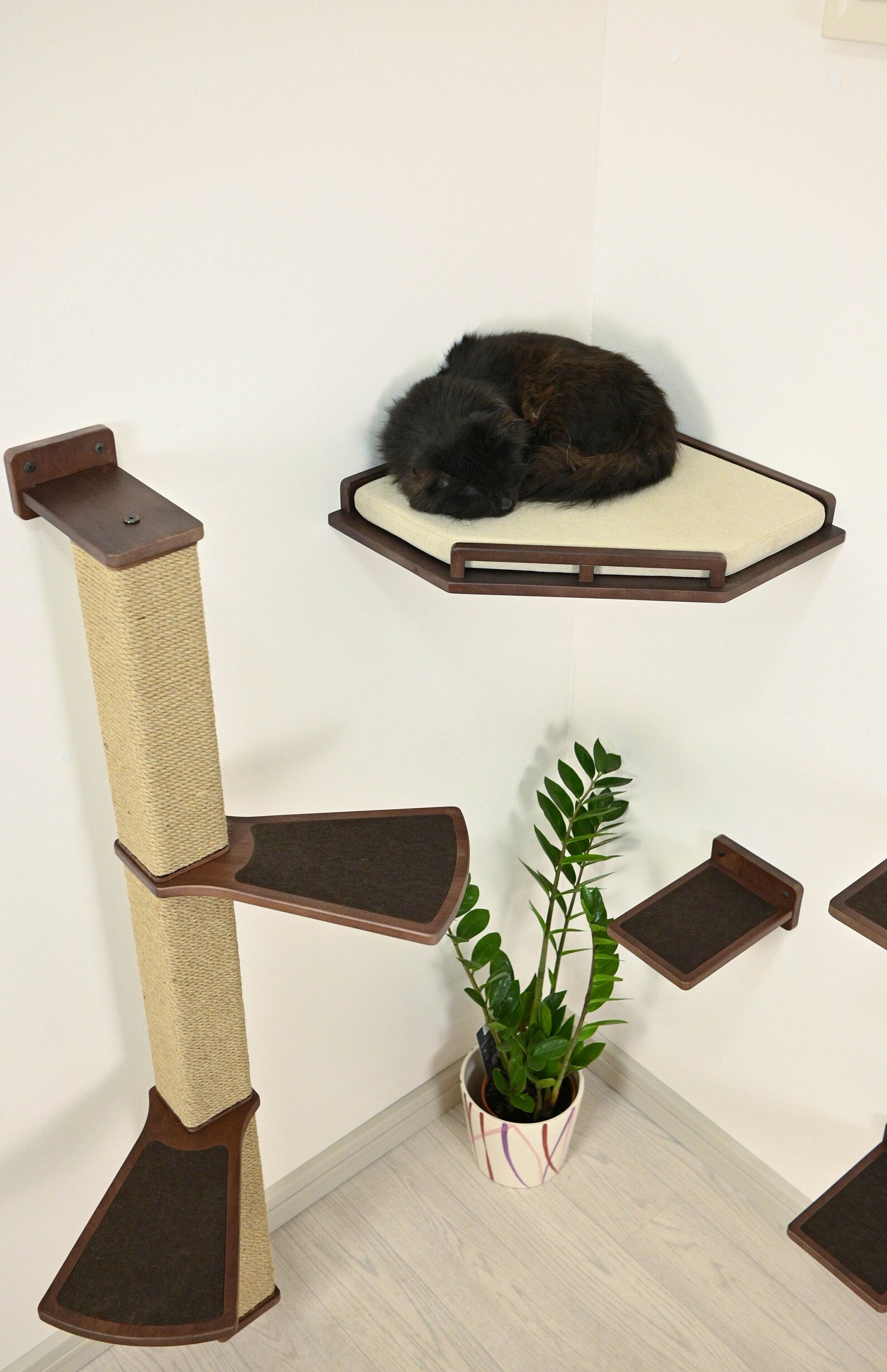 Set Cat Wall Furniture, Corner Cet Shelf, Cat Wall Scratching Post ...