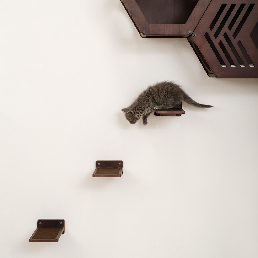 Cat Steps for Wall of Solid Wood, Cat Wall Furniture, Modern Cat ...