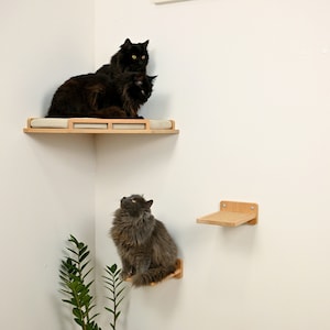 Multi-functional Cat Wall Set: Cat Corner Shelf With Cushion, Cat ...