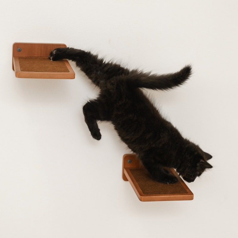 Cat Walk Furniture - Etsy