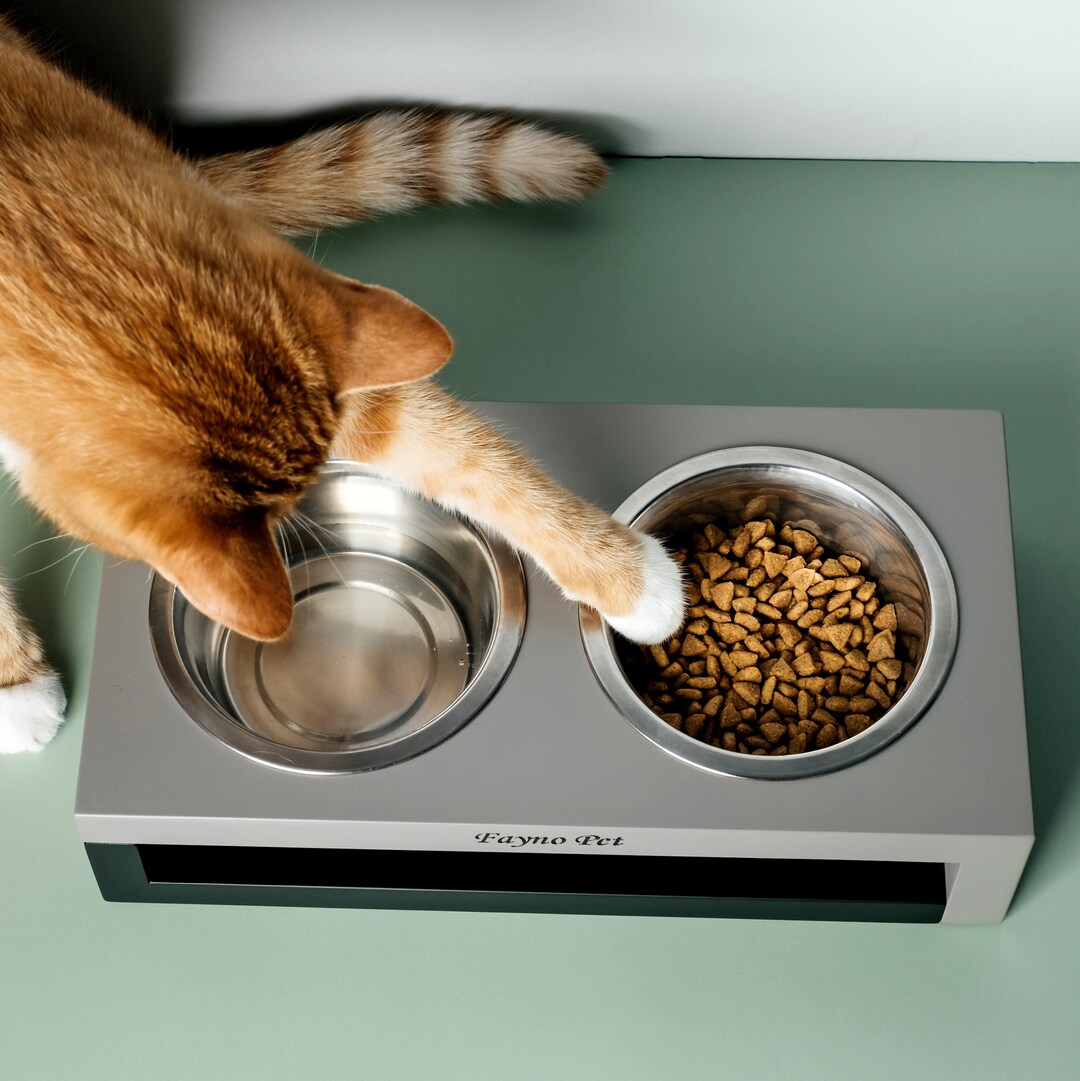 Raised Cat Feeding Station With Two Bowls, Raised Bowls Stand for Small ...
