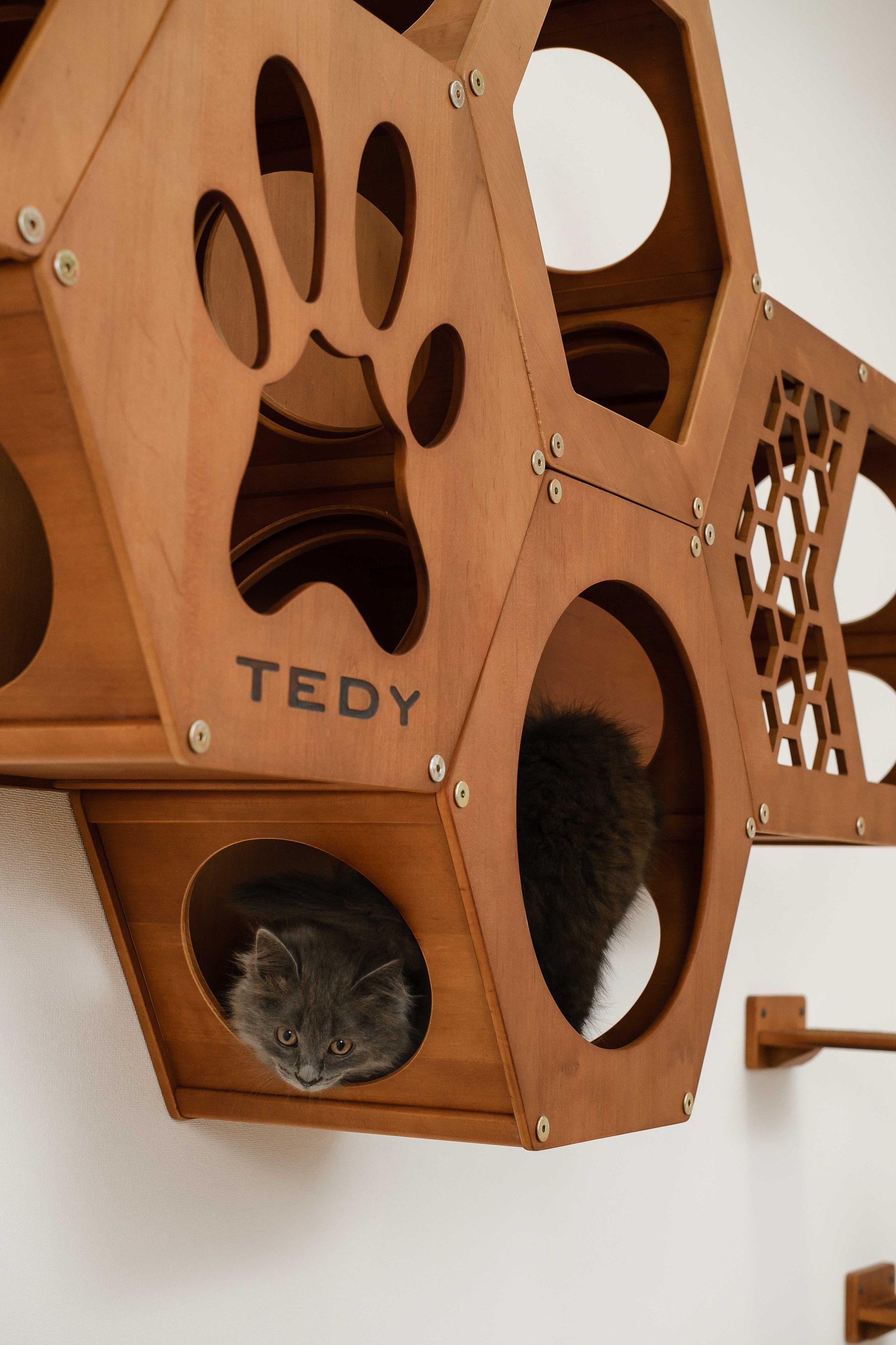 Cat House for Wall Cat Wall Furniture Modern Cat Furniture - Etsy