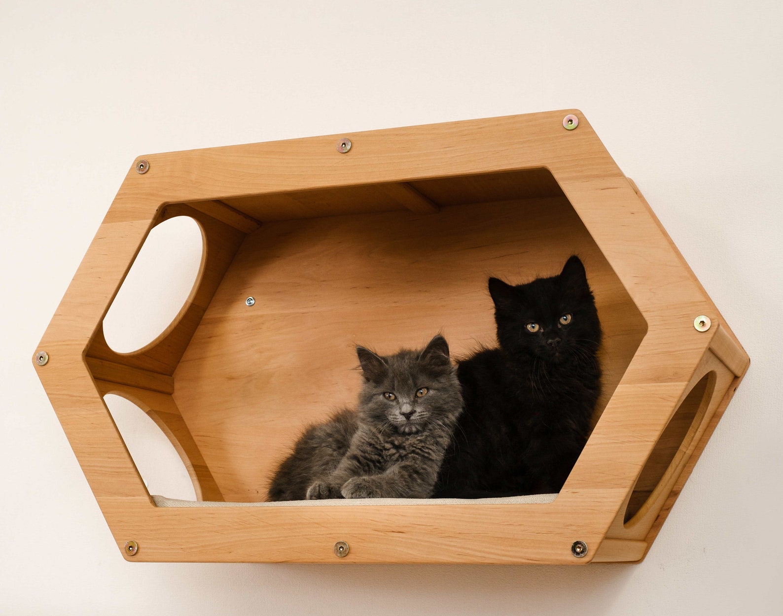 Handmade Hexagon Cat Shelf: Modern Wall Furniture for Large Cats - Etsy