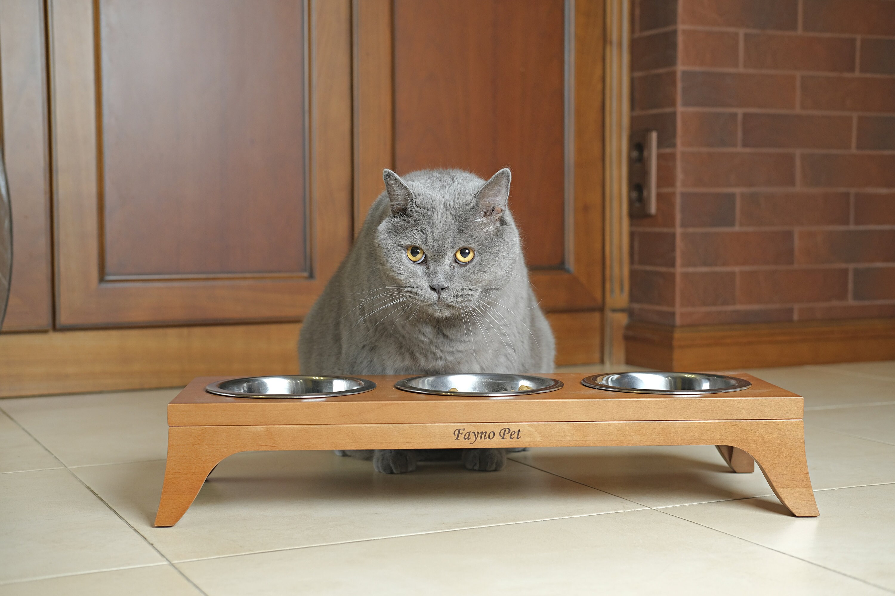 Raised Cat Feeding Station 3 Bowls Elevated Cat Bowl Feeder - Etsy