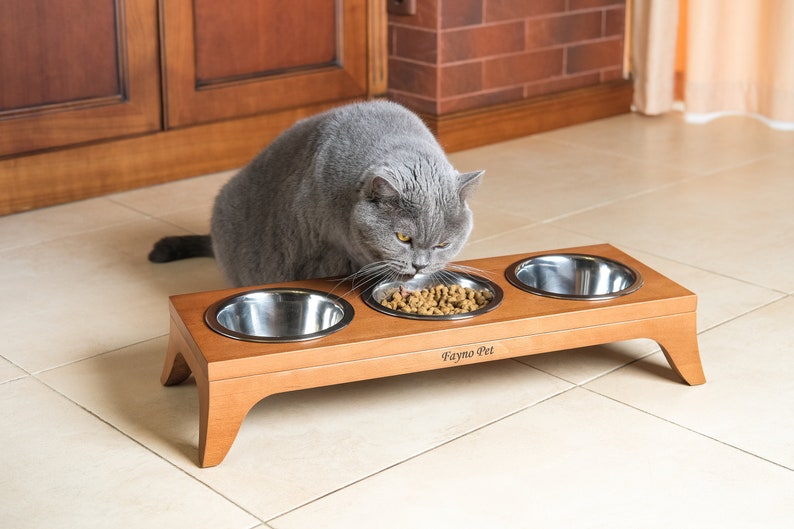 Raised Cat Feeding Station 3 Bowls Elevated Cat Bowl Feeder | Etsy