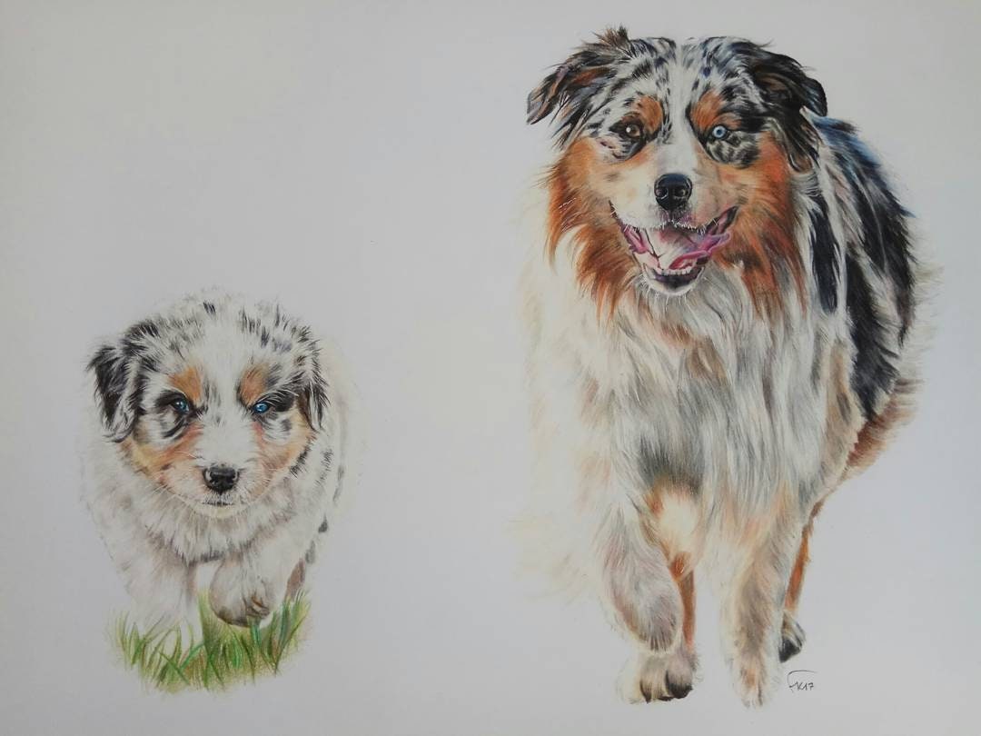 Custom Animal Portraits - Etsy