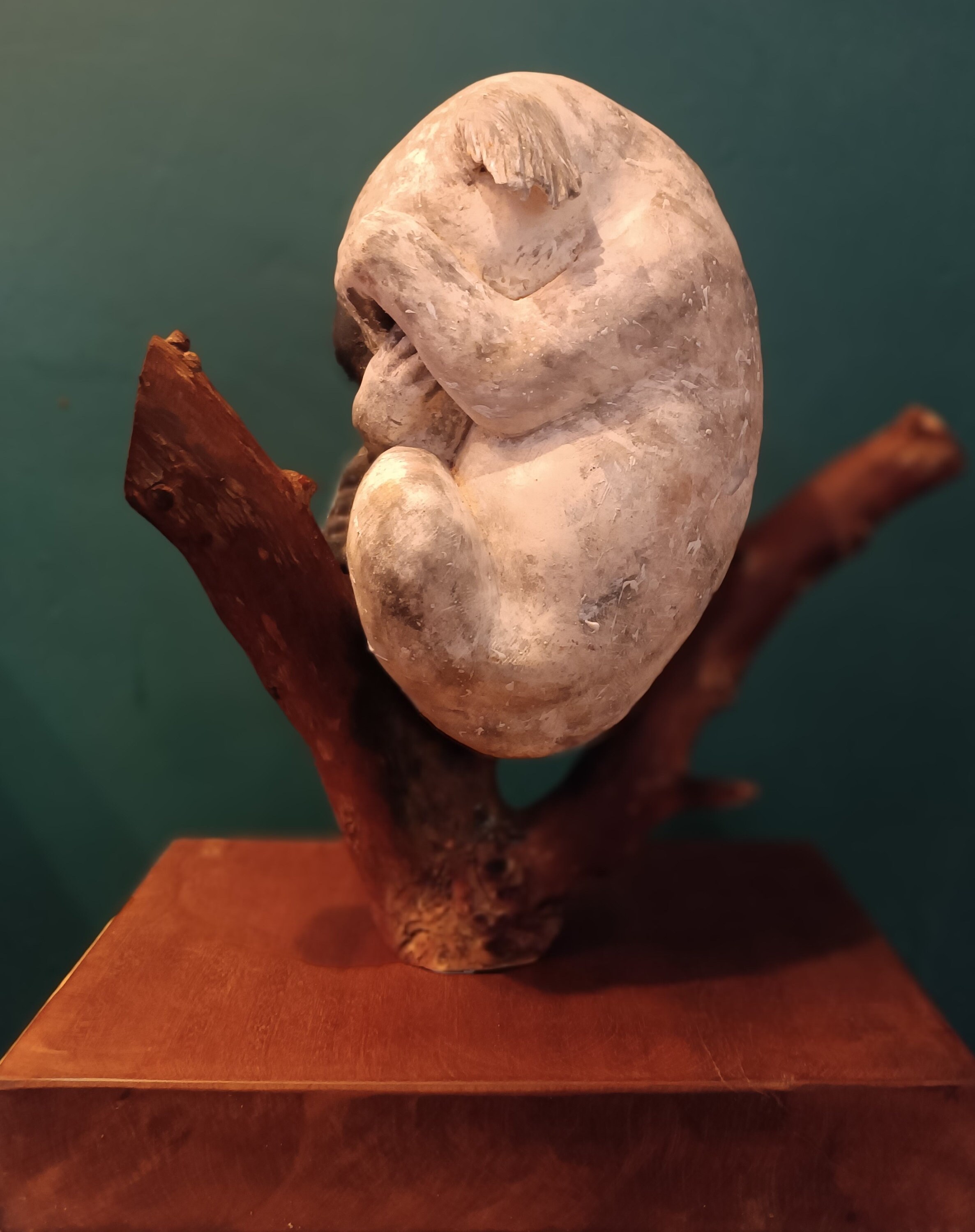 Ceramic, Koala, Animal Art, Art, Sculpture, Cute, Clay, - Etsy