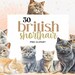 30 British Shorthair Cat Clipart PNG Images, Fat Cat, Cat Clipart ...