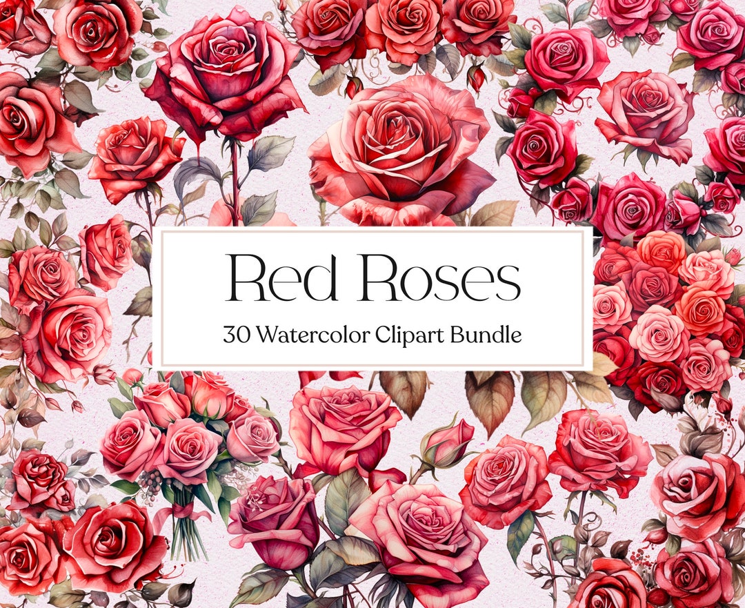 30 Red Roses Watercolor Clipart, Flower Clipart, Red Clipart, Floral ...