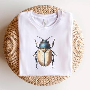 Vintage Bugs Clipart, Watercolor Antique Insect PNG, Junk Journal ...