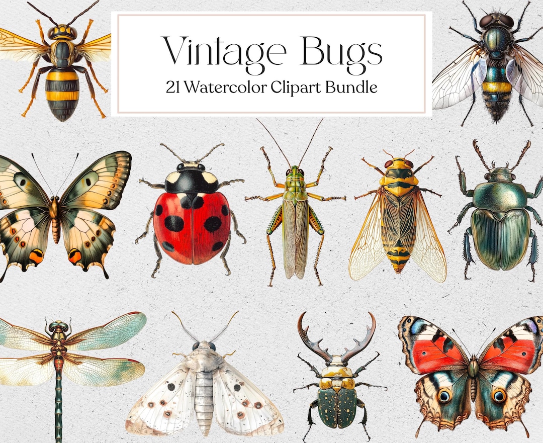 Vintage Bugs Clipart, Watercolor Antique Insect PNG, Junk Journal ...