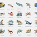40 Ocean Animal Clipart, Sea Animal Clipart, Whale, Dolphin, Sea Turtle ...
