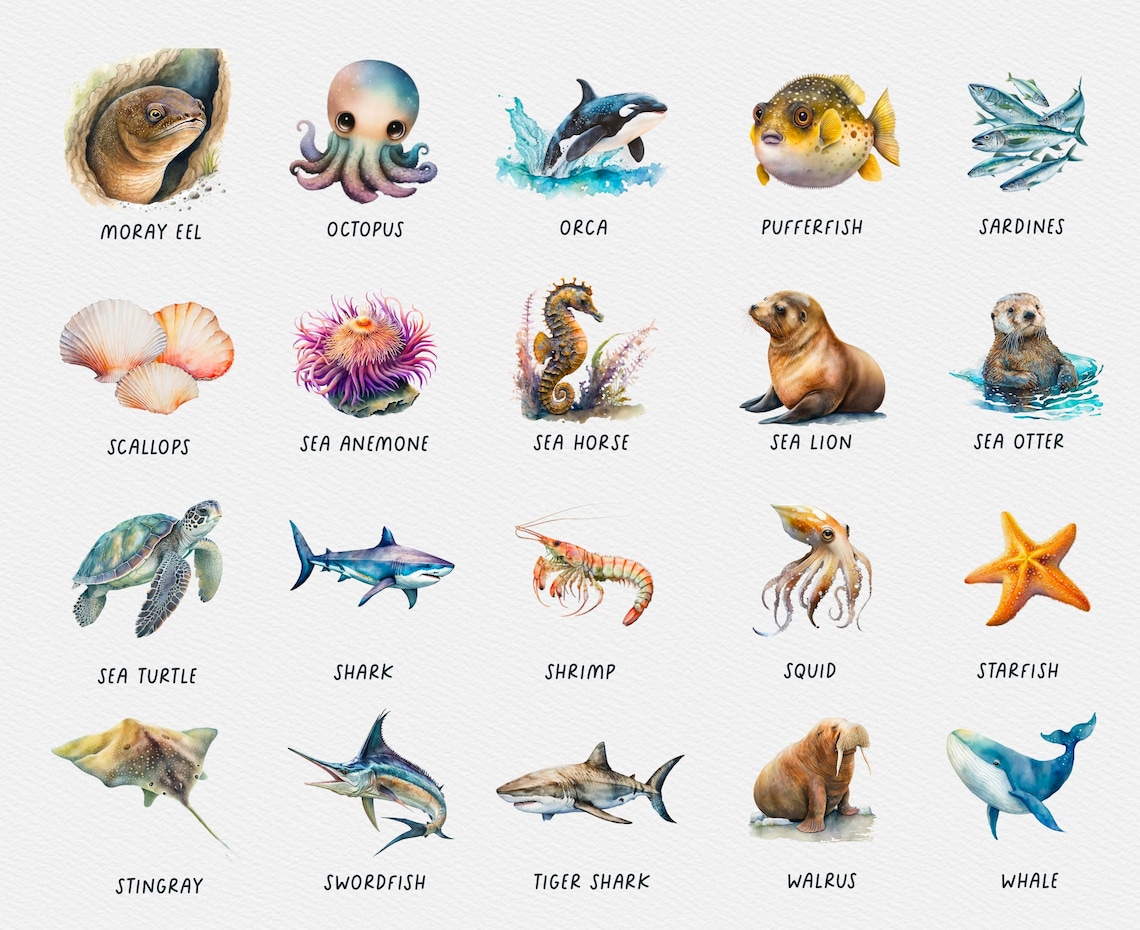 40 Ocean Animal Clipart, Sea Animal Clipart, Whale, Dolphin, Sea Turtle ...