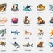 40 Ocean Animal Clipart, Sea Animal Clipart, Whale, Dolphin, Sea Turtle ...
